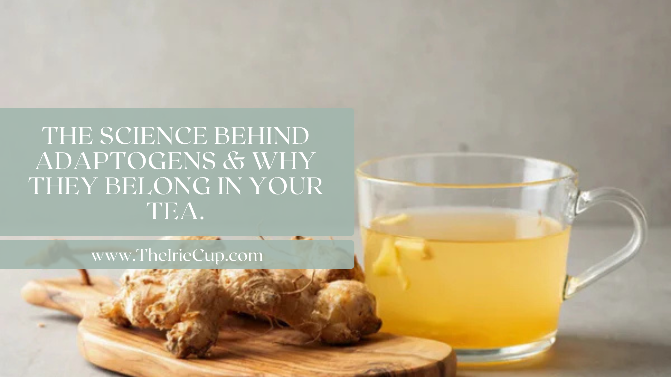 The Science Behind Adaptogens & Why They Belong in Your Tea – The Irie Cup